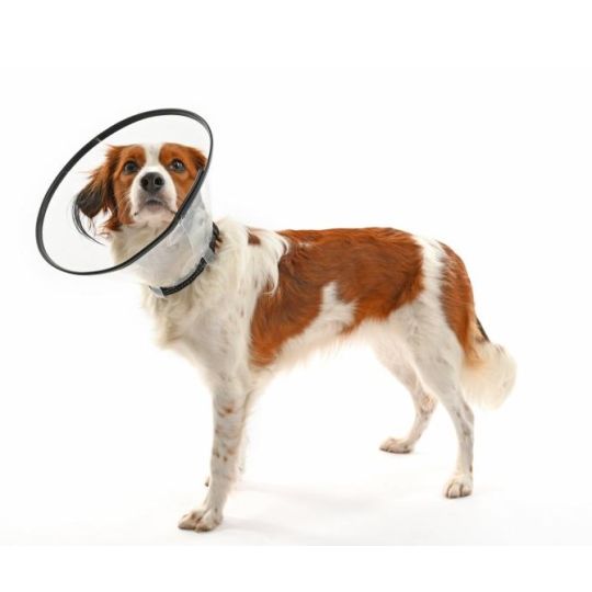 Buster Comfort Collar - Singles