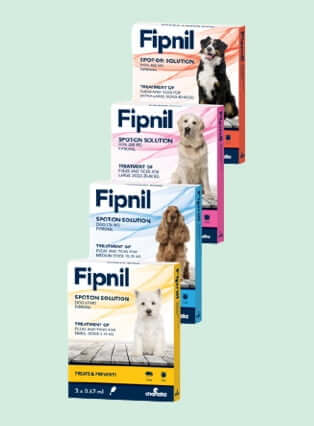 Pet Supplies, Online Pet Pharmacy, Dog & Cat Pharmacy Stores, Pet ...